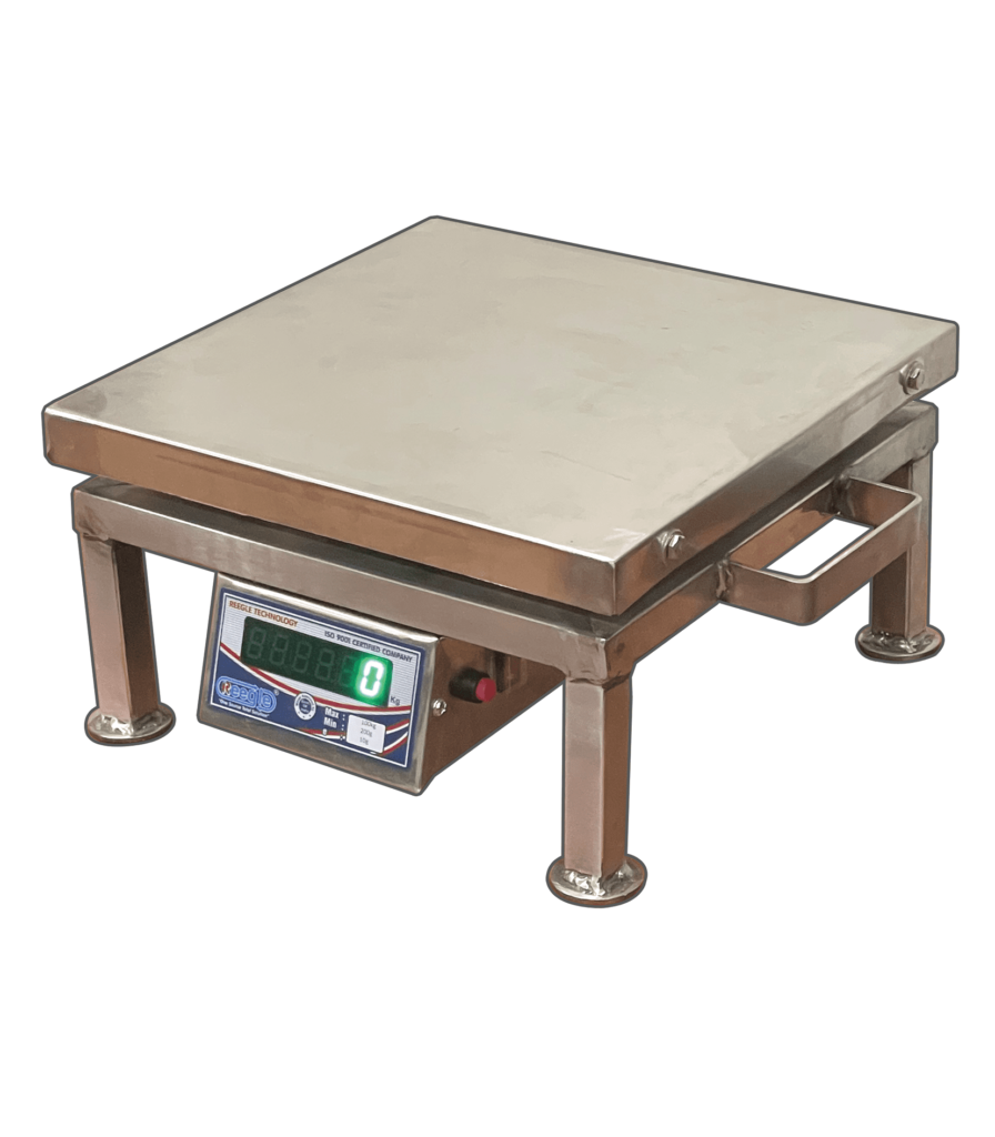 Stainless Steel Body Scale – Reegle